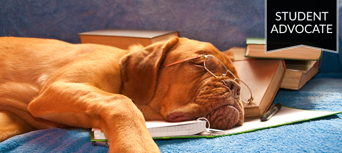 How to set your students up for studying success - CampusWell