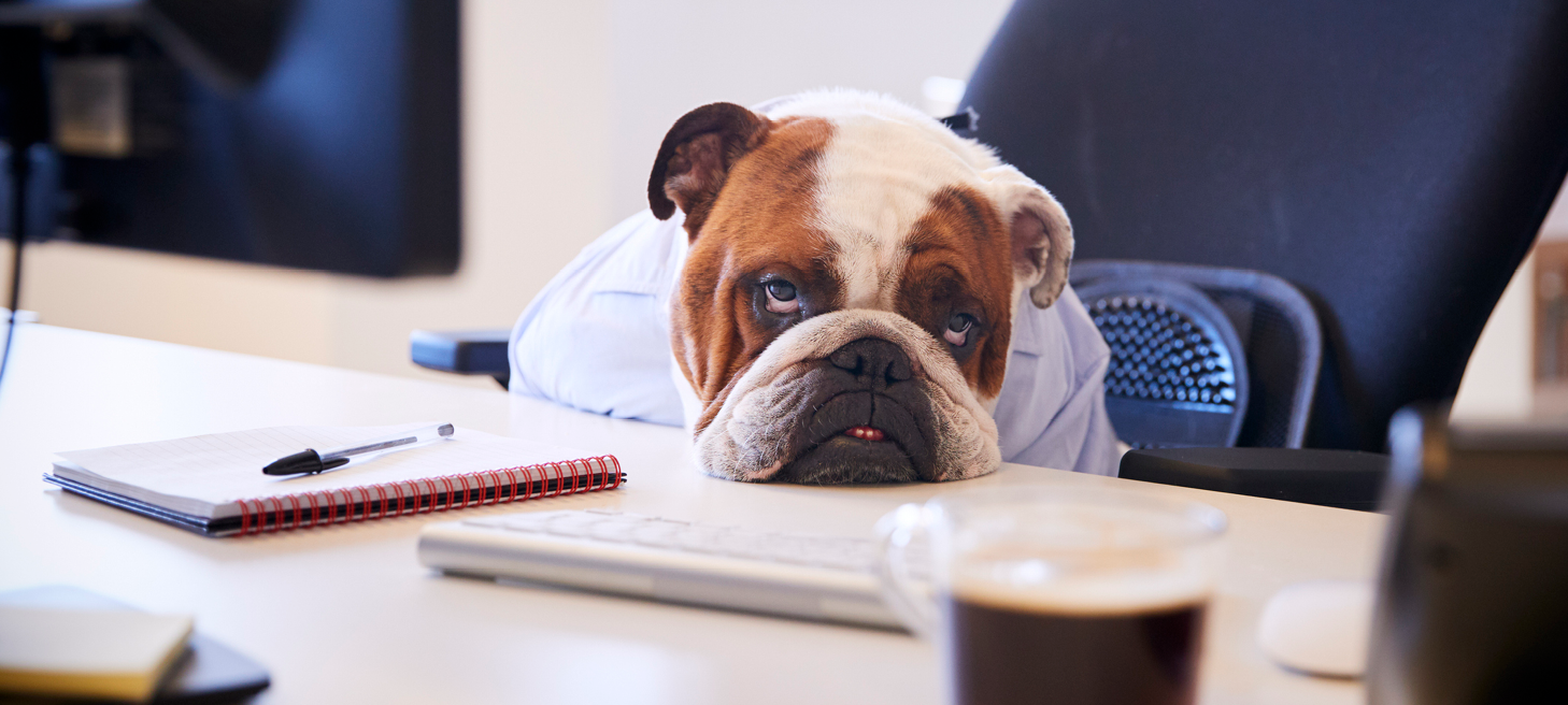 5 tips to get more sleep, even when you're busy - CampusWell