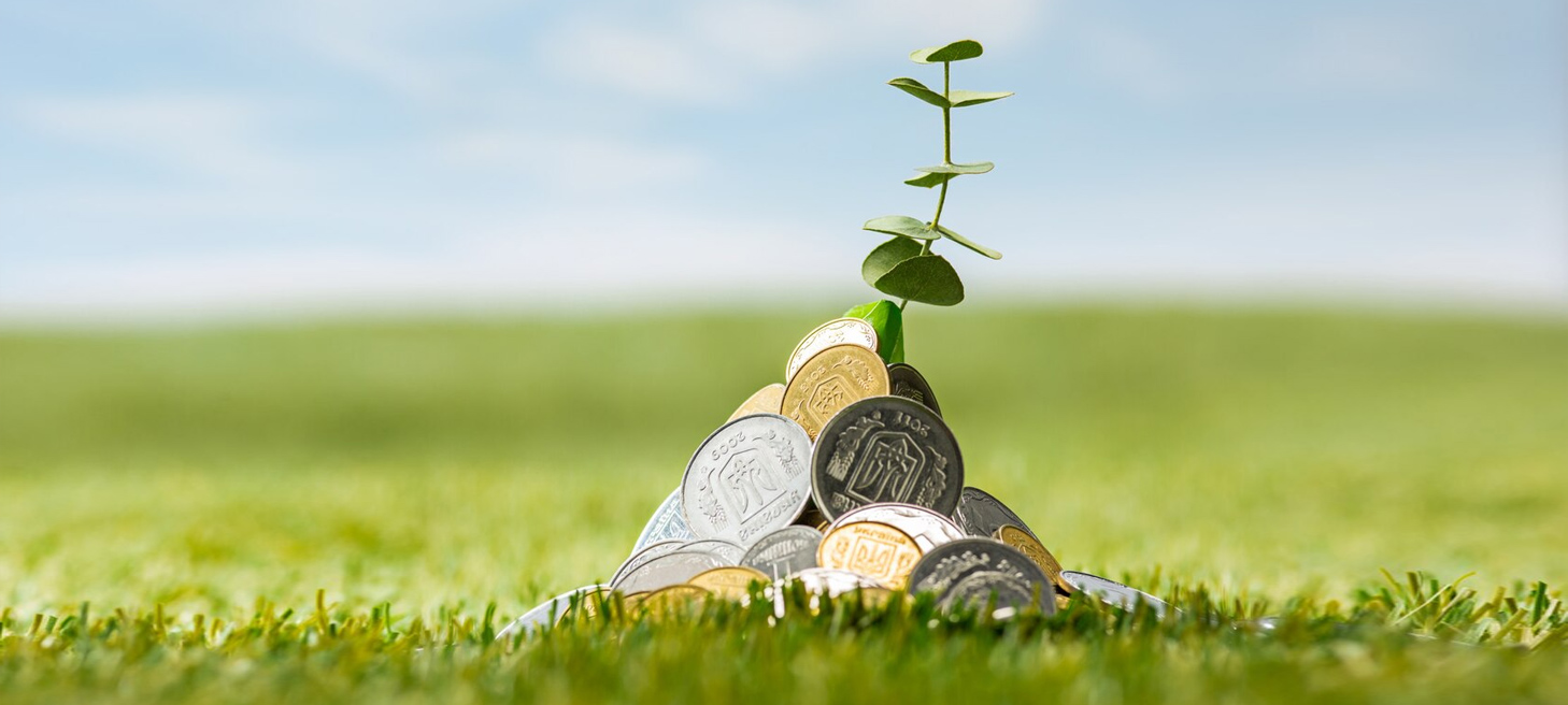 How you can start investing on any budget - CampusWell